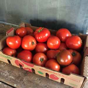 10 lb Box of Tomatoes - Swallowtail Farm